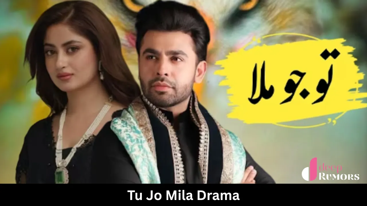 Tu Jo Mila Drama Cast, Schedule, Timings, and Story